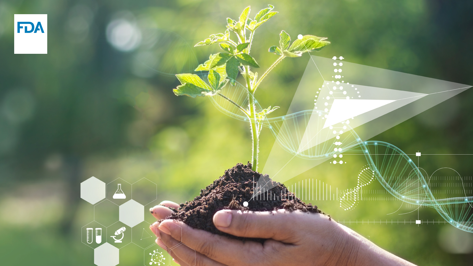 FDA’s Regulation of Plant and Animal Biotechnology Products | FDA